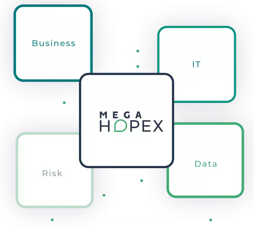 SaaS Solutions Company - See the Bigger Picture | MEGA